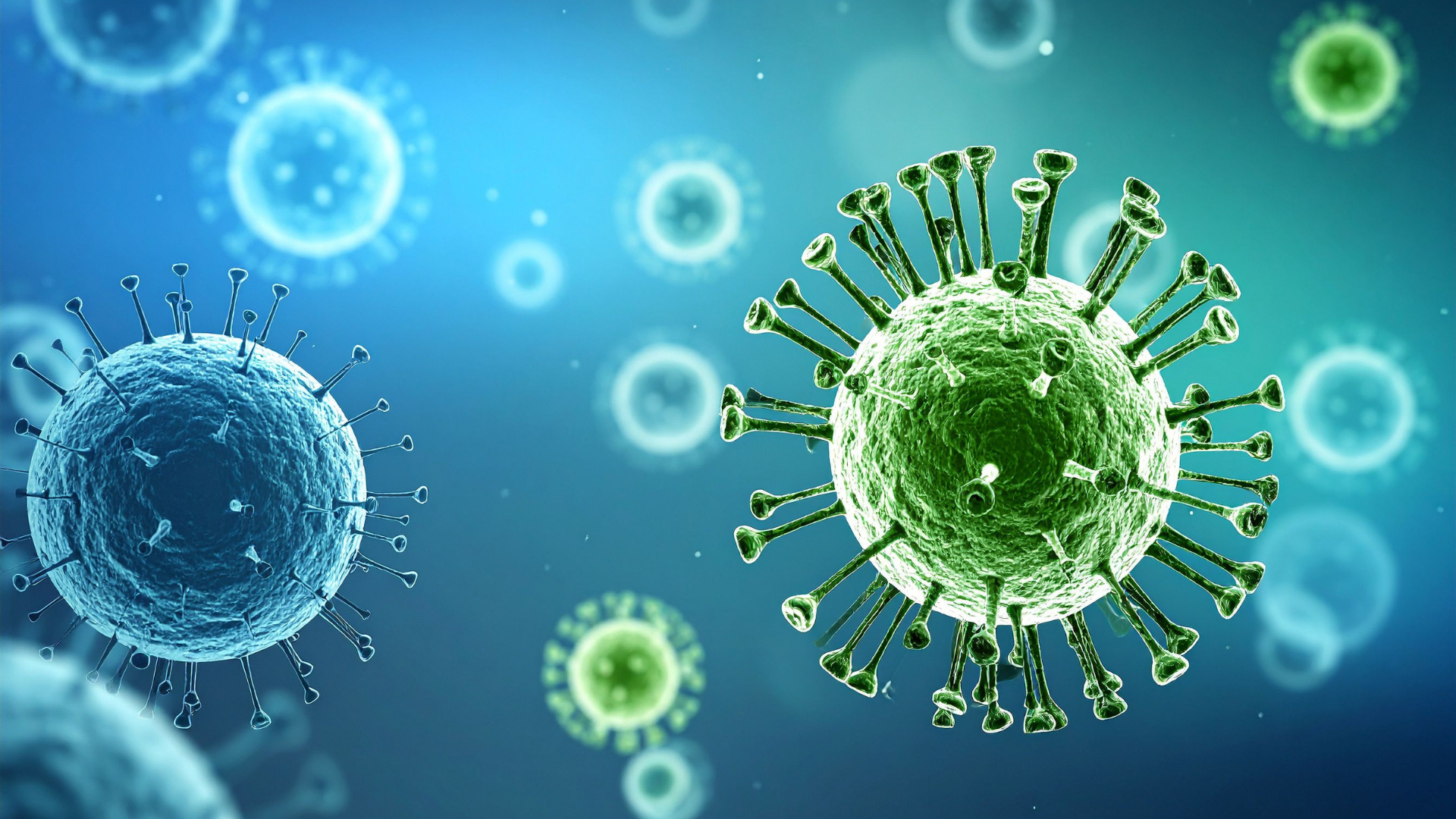 What is the Nipah Virus ? Know It, Prevent It - No Need to Panic | ArokaGO